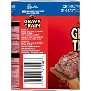 Gravy Train Chunks in Gravy With Beef Chunks, Wet Dog Food, 13.2 Oz Can ...