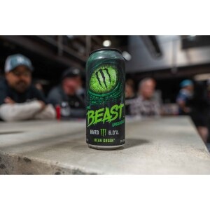 The Beast Unleashed Mean Green 16oz Can | Family Dollar