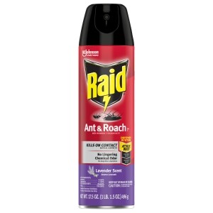 Raid Ant and Roach Killer Indoor and Outdoor Insecticide Spray ...