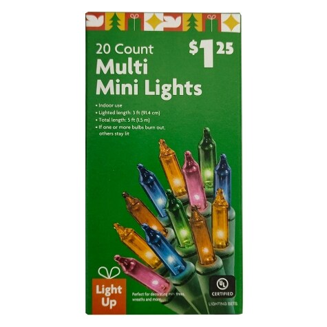 Multicolor Mini Christmas Lights with Green Wire, 20-ct. Set