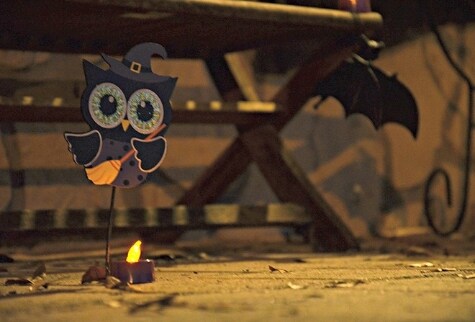 fd-blog-post-display