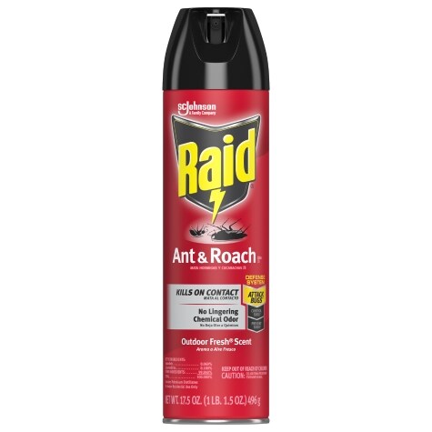 Raid Ant & Roach Spray, 17.5 oz.
