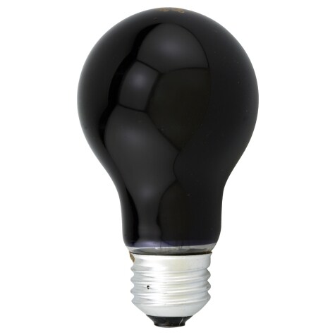 Medium-Base 60-Watt Black Light Bulbs