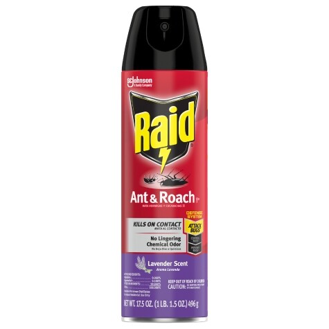 Raid Ant and Roach Killer Indoor and Outdoor Insecticide Spray ...