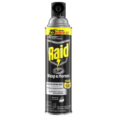 Raid Wasp & Hornet Spray, 17.5-oz. Bottles
