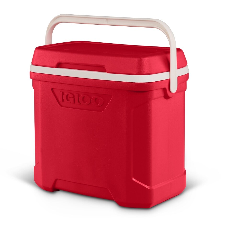 Coolers | Igloo Coolers | Soft & Arctic Coolers | Family Dollar