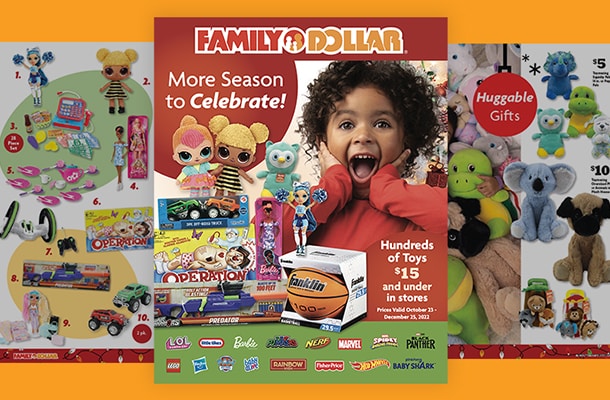 Family dollar toys 2018 store