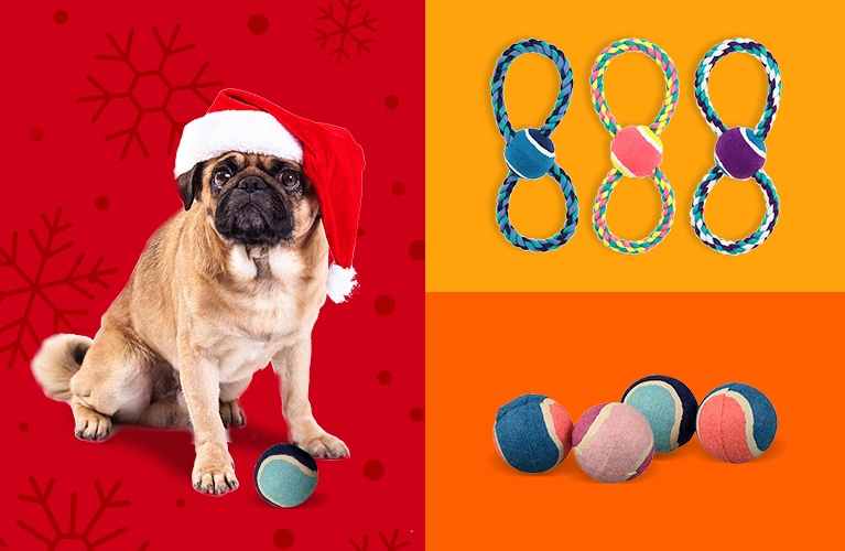 Christmas Gifts & Essentials | Family Dollar
