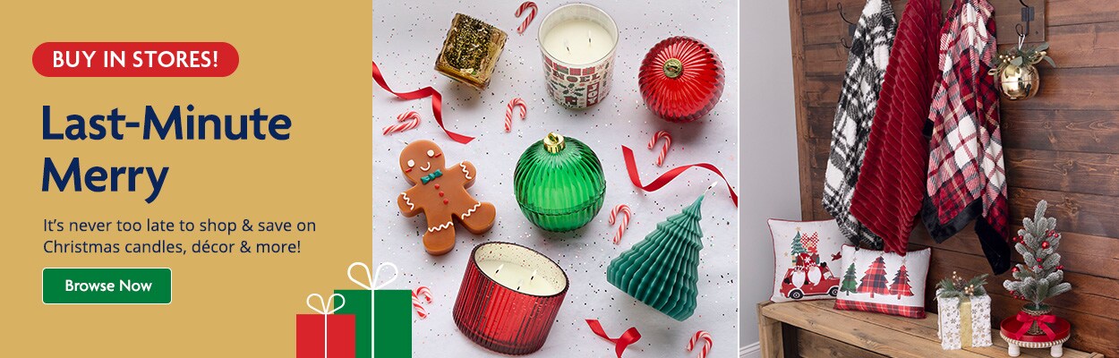 Christmas Gifts & Essentials | Family Dollar