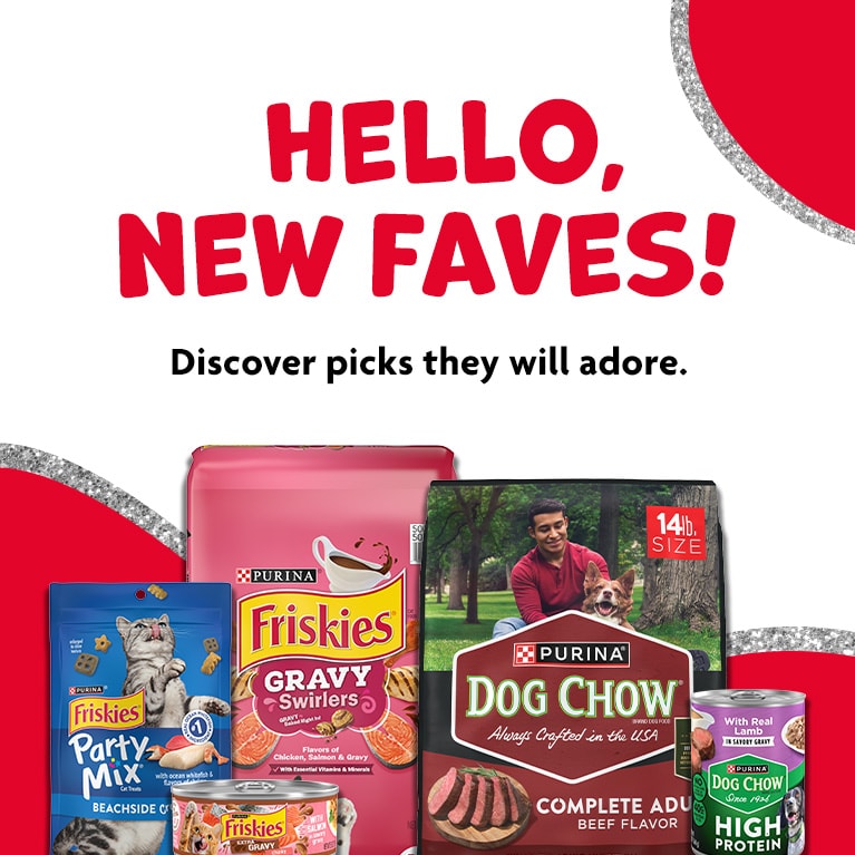 Pet Supplies and Discount Pet Food and Treats | Family Dollar